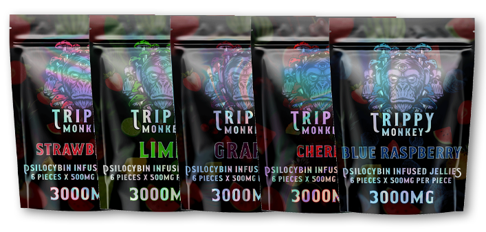 Shroom Garden | Shroom Garden